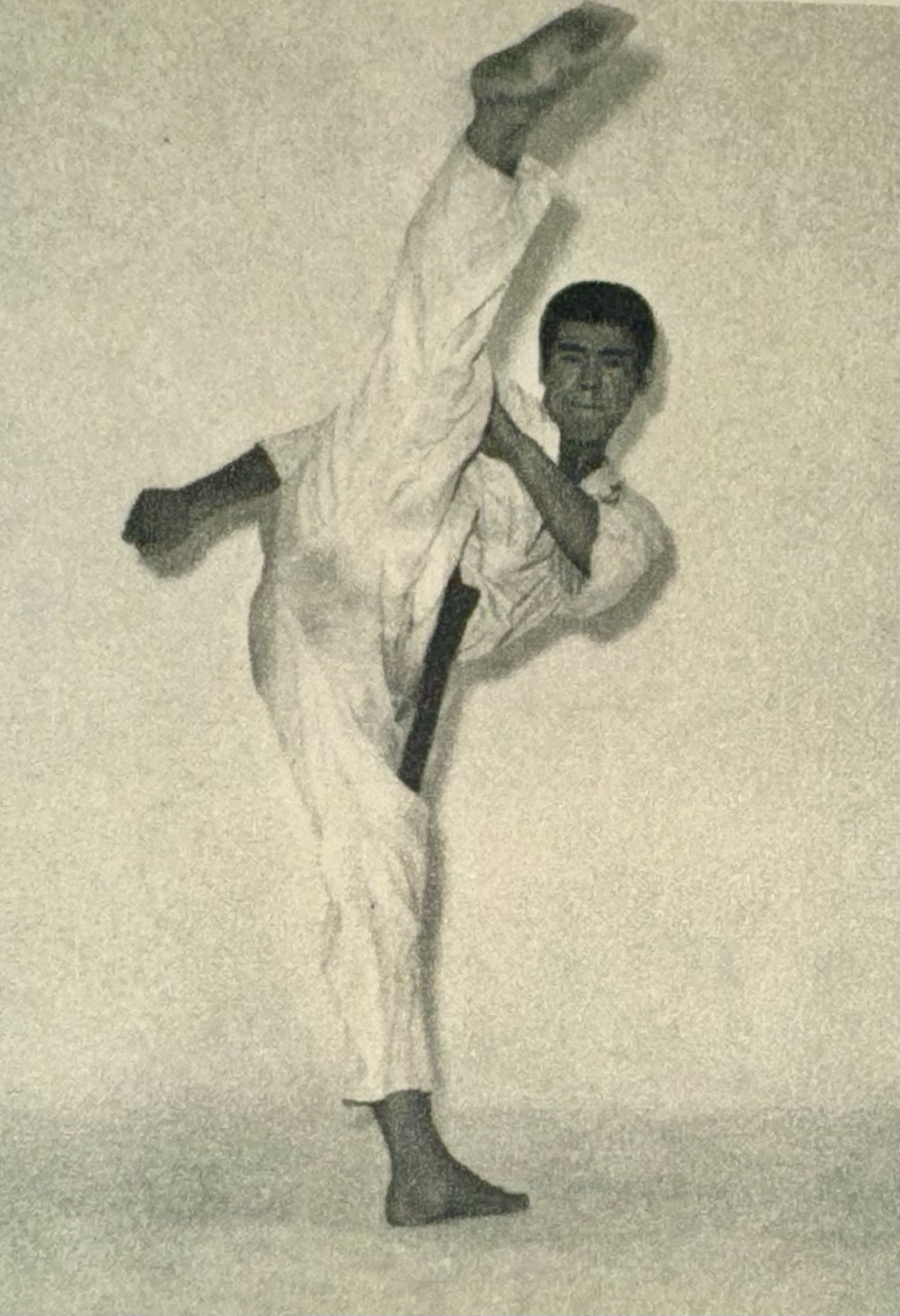 Understanding the Roundhouse Kick: History and Techniques – Dojang